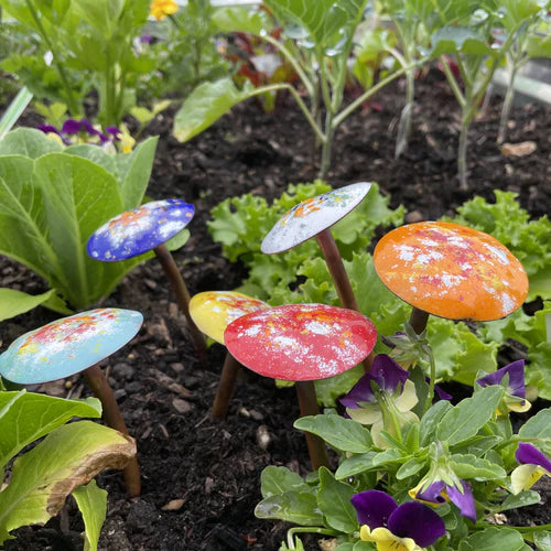 Copper Toadstool pick – Wild Blooms